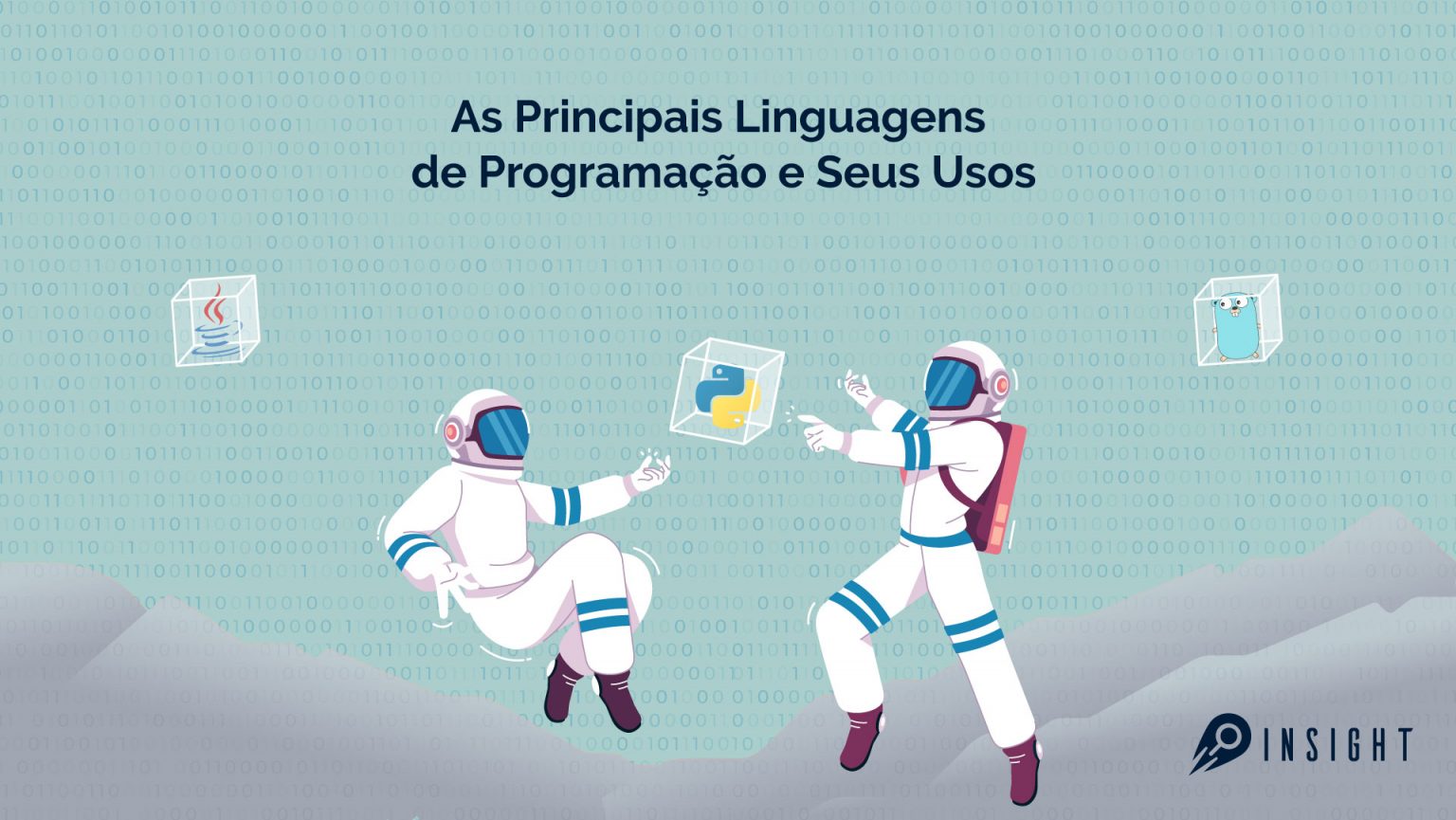 Principais Linguagens de Programação e Seus Usos – Insight Data Science Lab